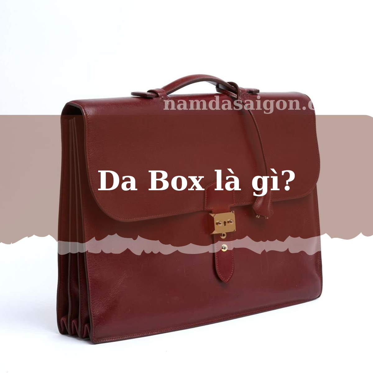 Da Box là gì? Tìm hiểu dòng da đang được nhiều người ưa thích - NAMDA ...